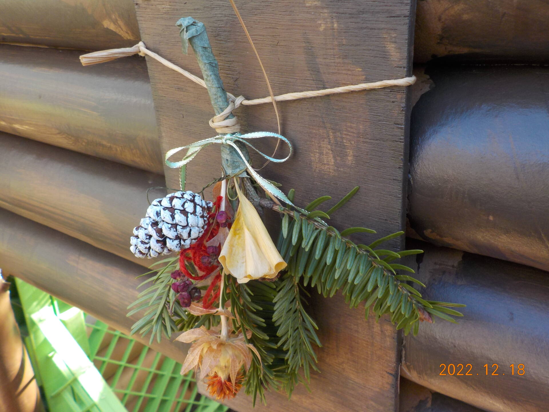 DSCN9334 – 東京都東部7公園