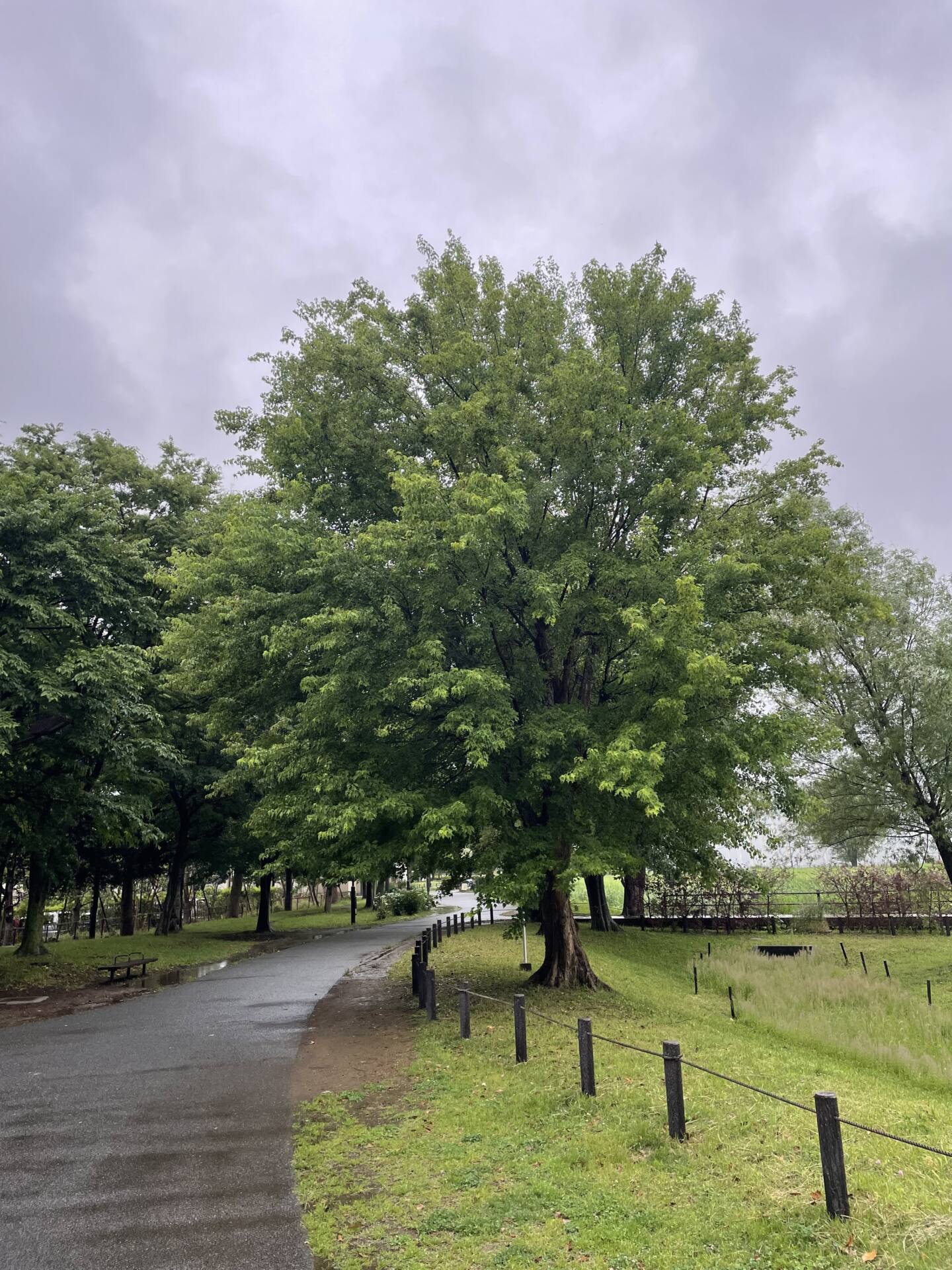 IMG-7274 (2) – 東京都東部7公園