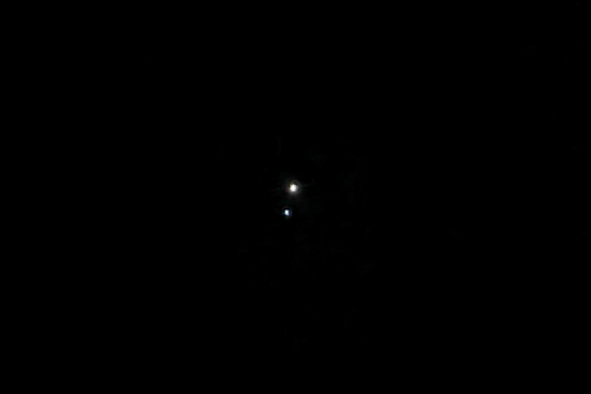 【大島小松川公園】星空観察会を開催しました！ [ブログ] - 東京都東部7公園